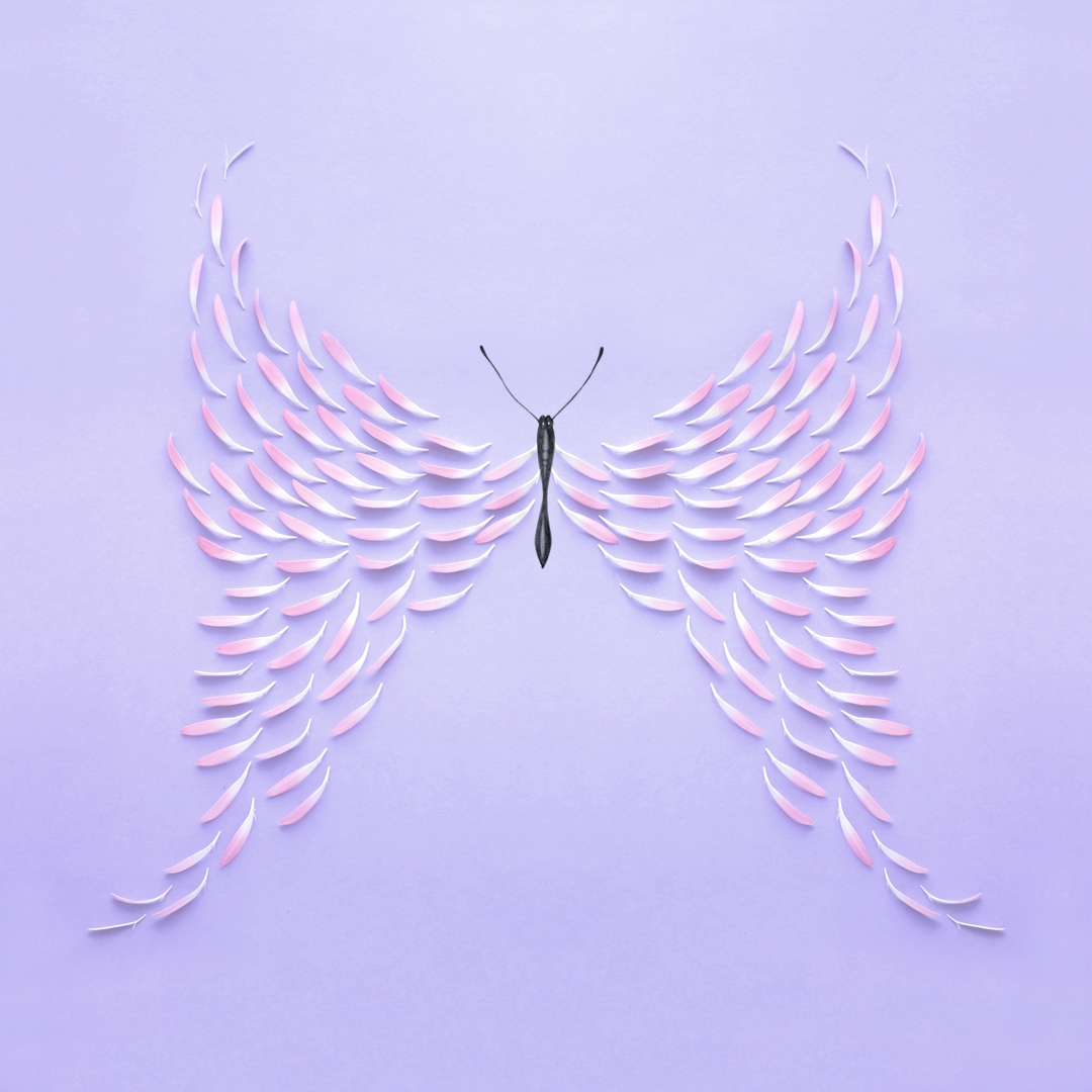 5 Basic Design Rules of Composition to Make Your Images Pop! - What She ...