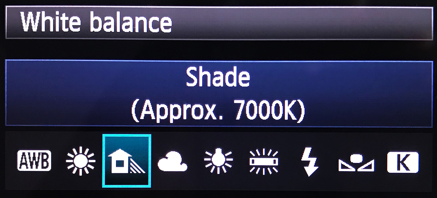 How To Get The Perfect White Balance In Your Photos - What She Pictures