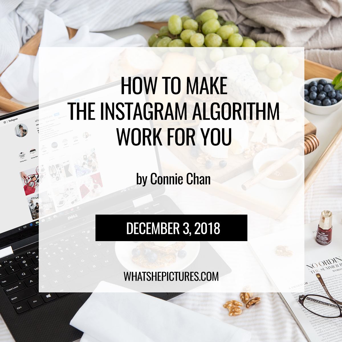 How To Make The Instagram Algorithm Work For You - What She Pictures